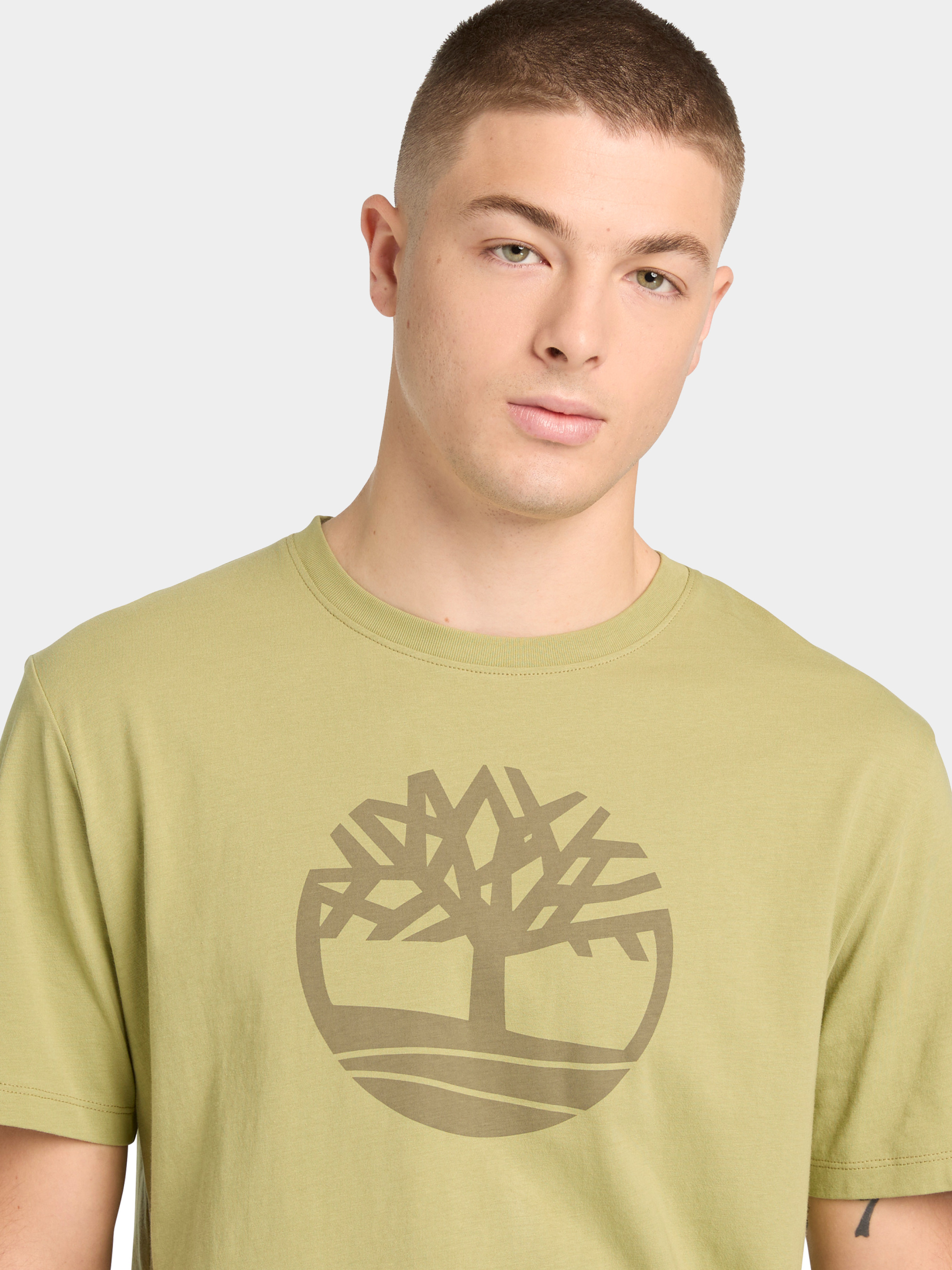 KENN Tree Logo Short Sleeve SAGE, Large модель TB0A2C2RBQ0 для мужчин ...